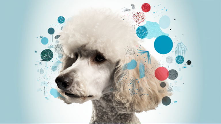 What Health Problems Are Common In Poodles? | Dog Lovers Blog ...